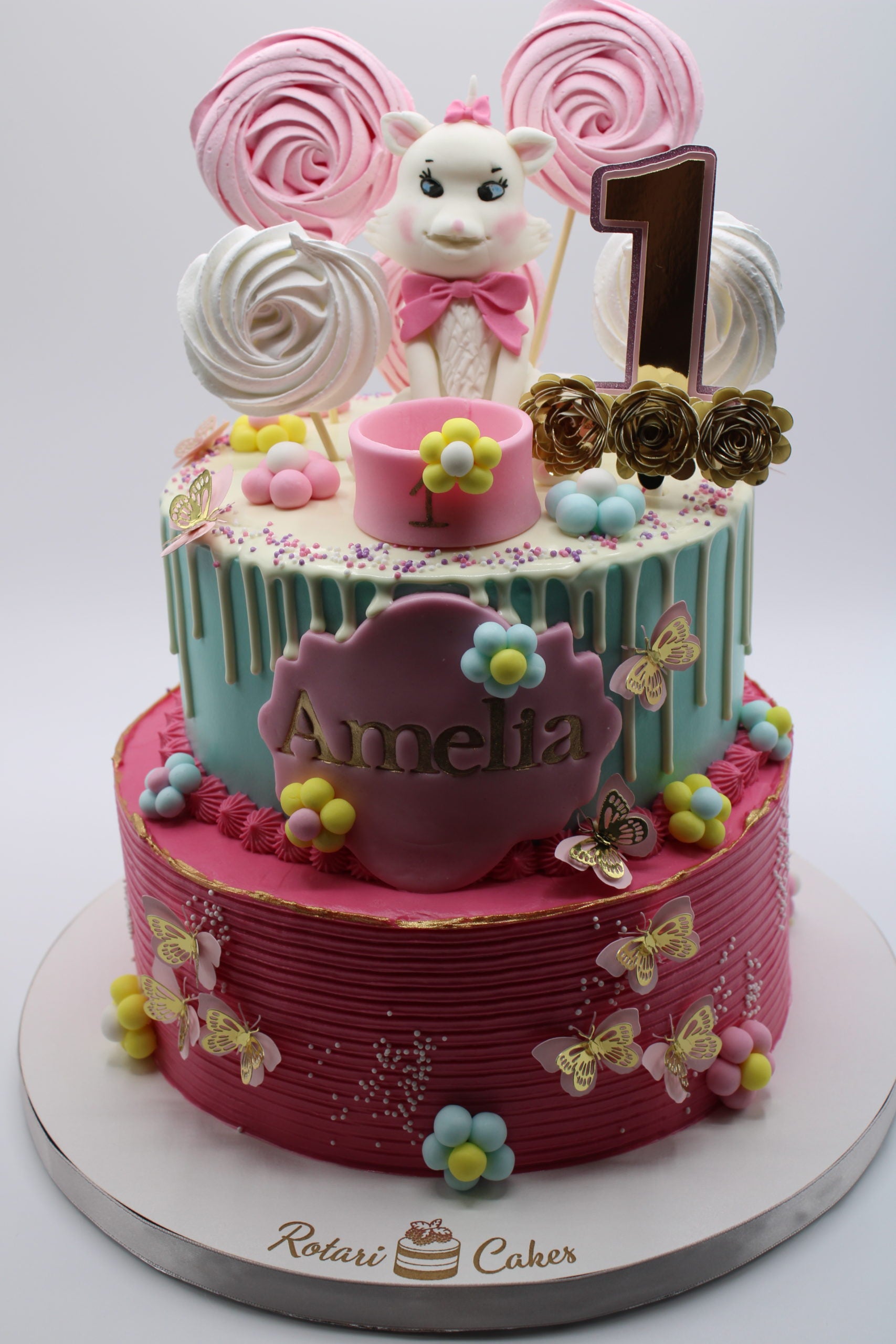 Two Tier ARISTOCATS Cake – Rotari bakes